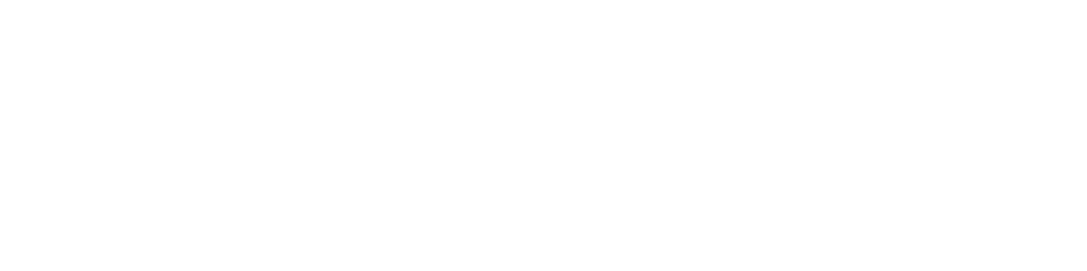 Welsh Witch - Our Story from the Wild Moon Distillery