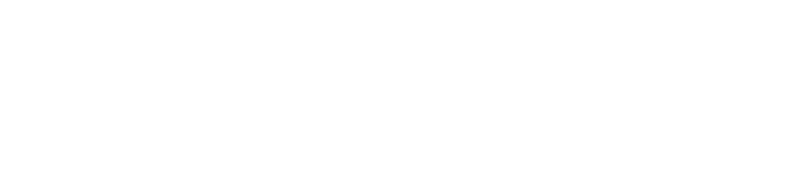 Welsh Witch - Our Story from the Wild Moon Distillery