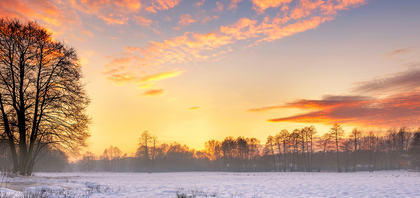 Welsh Witch Guide to Yule & The Winter Solstice