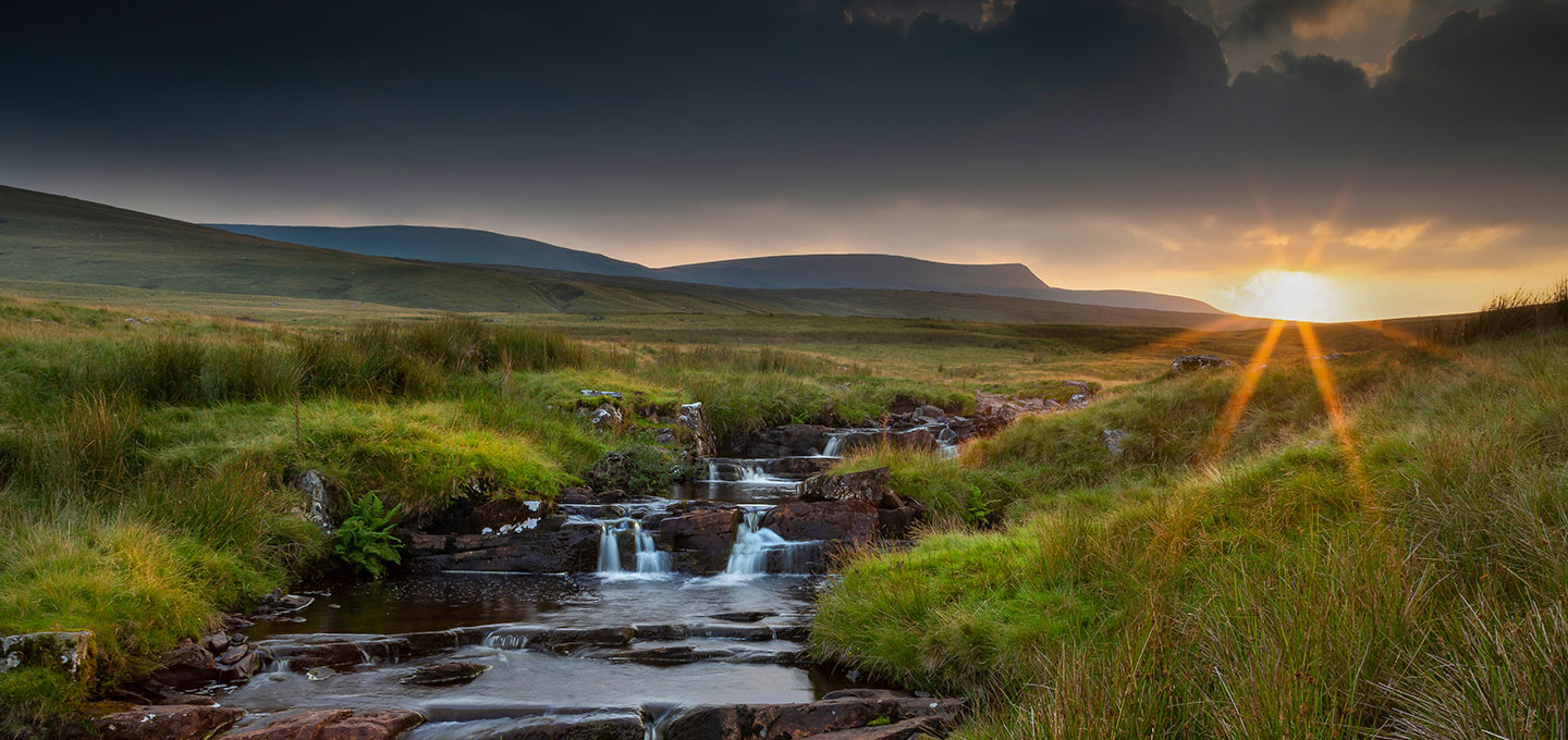Witch’s Guide to the Autumn Equinox - WILD MOON