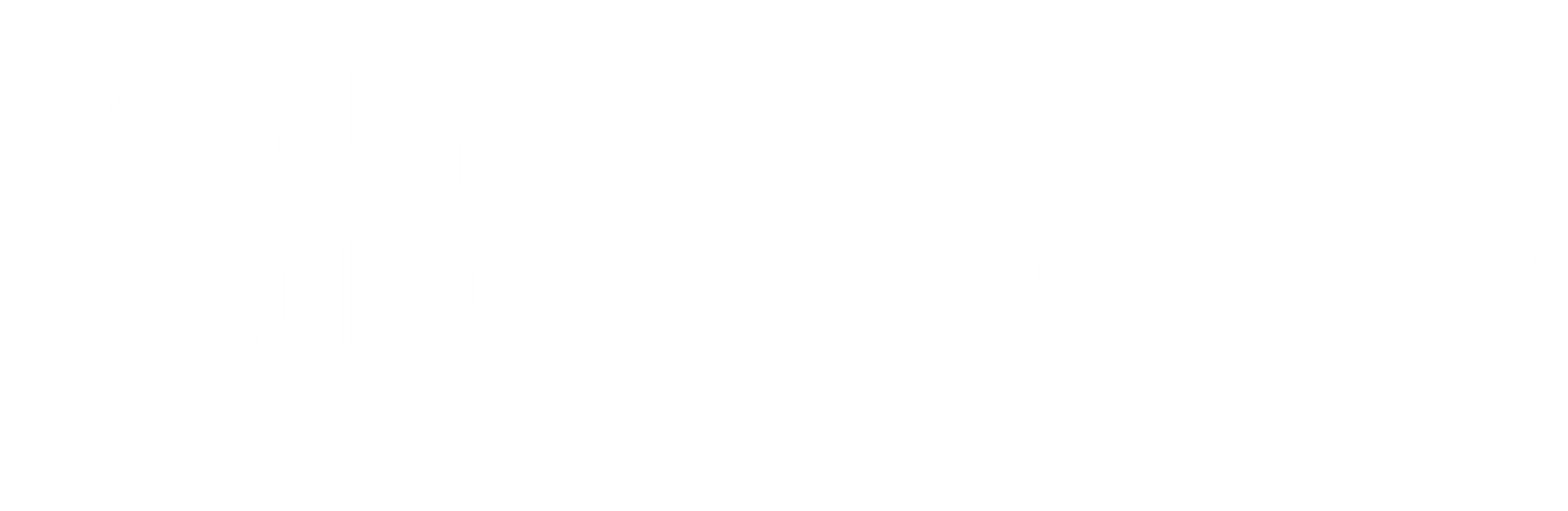 Wild Moon Distillery | Welsh Witch Craft Spirits